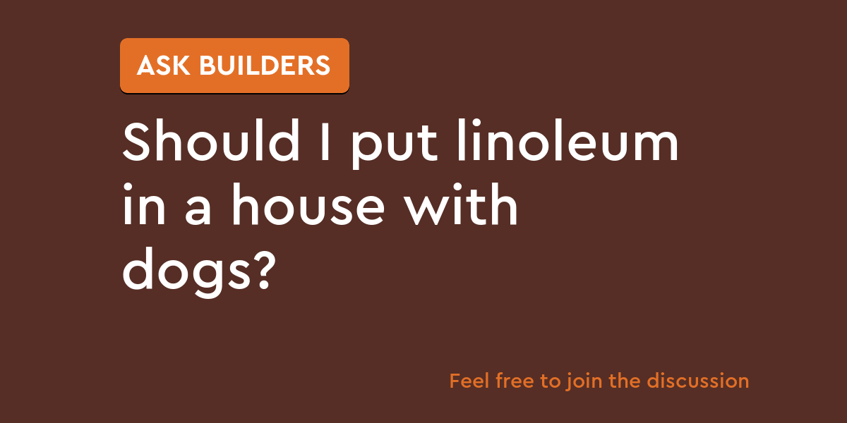 Should I put linoleum in a house with dogs? - Ask Builders